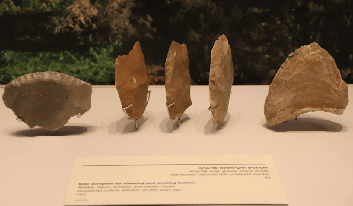 O mundo dos neandertais - ABC Terra